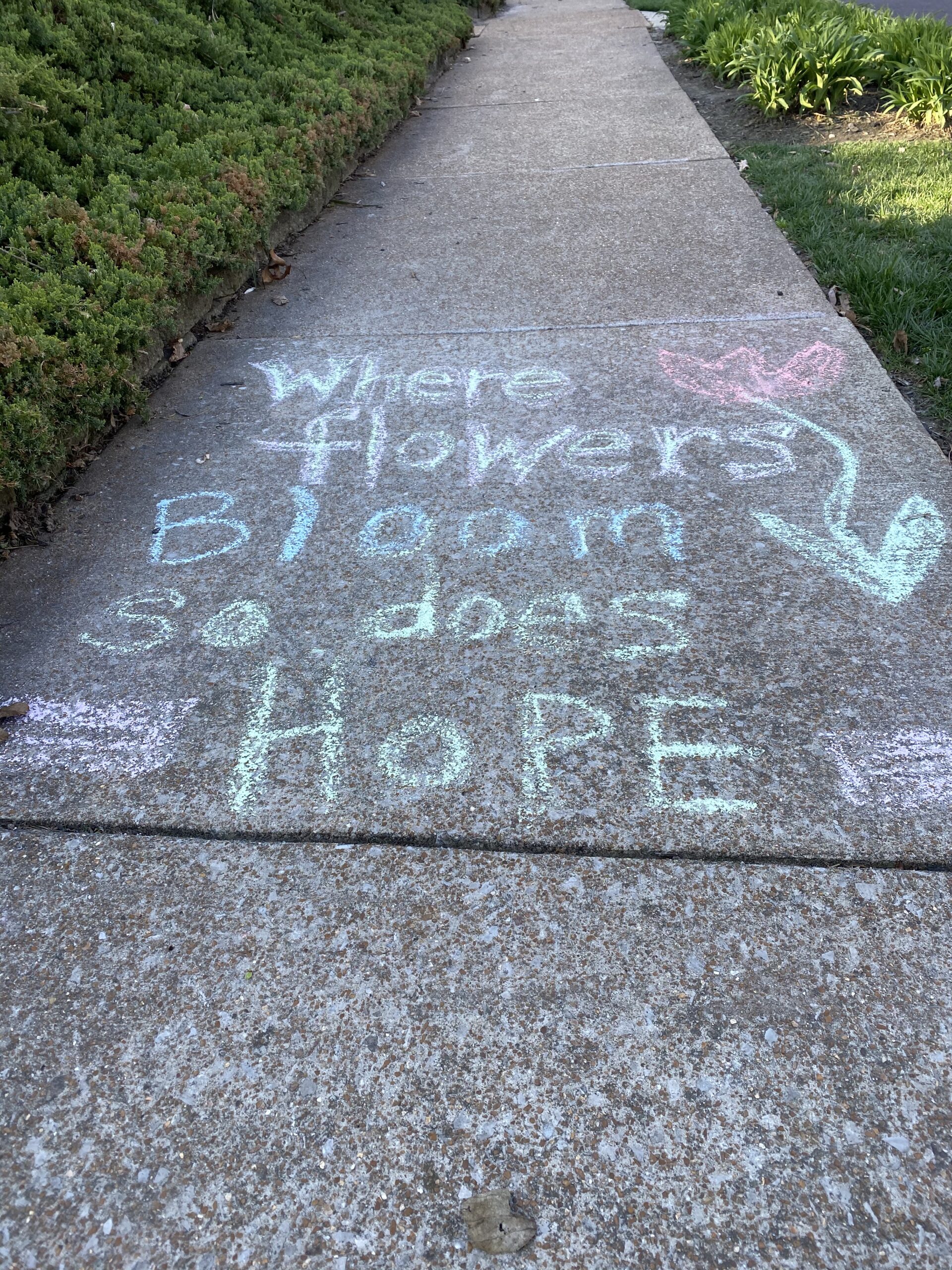 A Bold Step in a New Direction You're Going to Love!