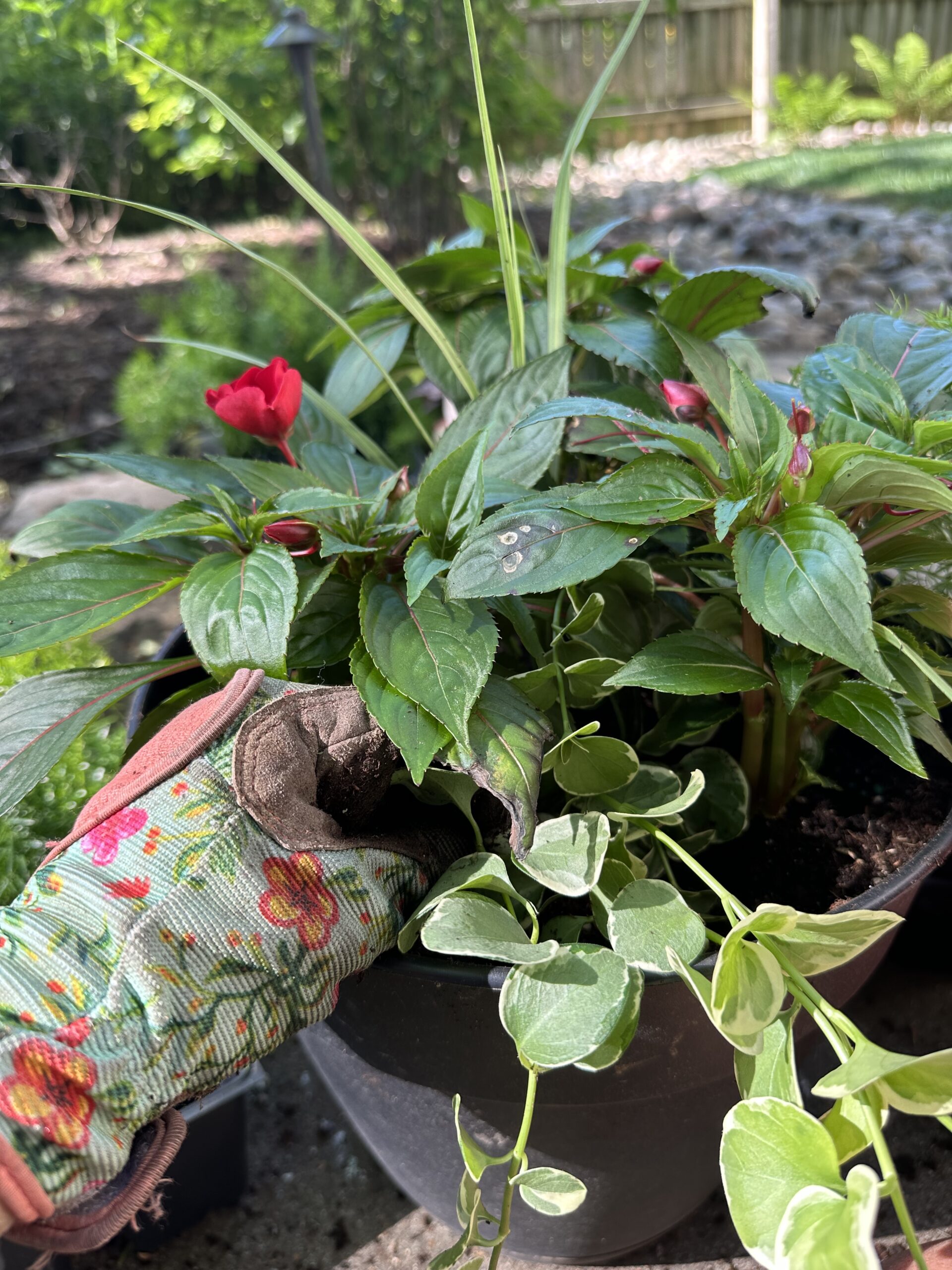 The Best Container Planter Ideas for Your Garden that You'll Love! The Best Container Planter Ideas for Your Garden that You'll Love!