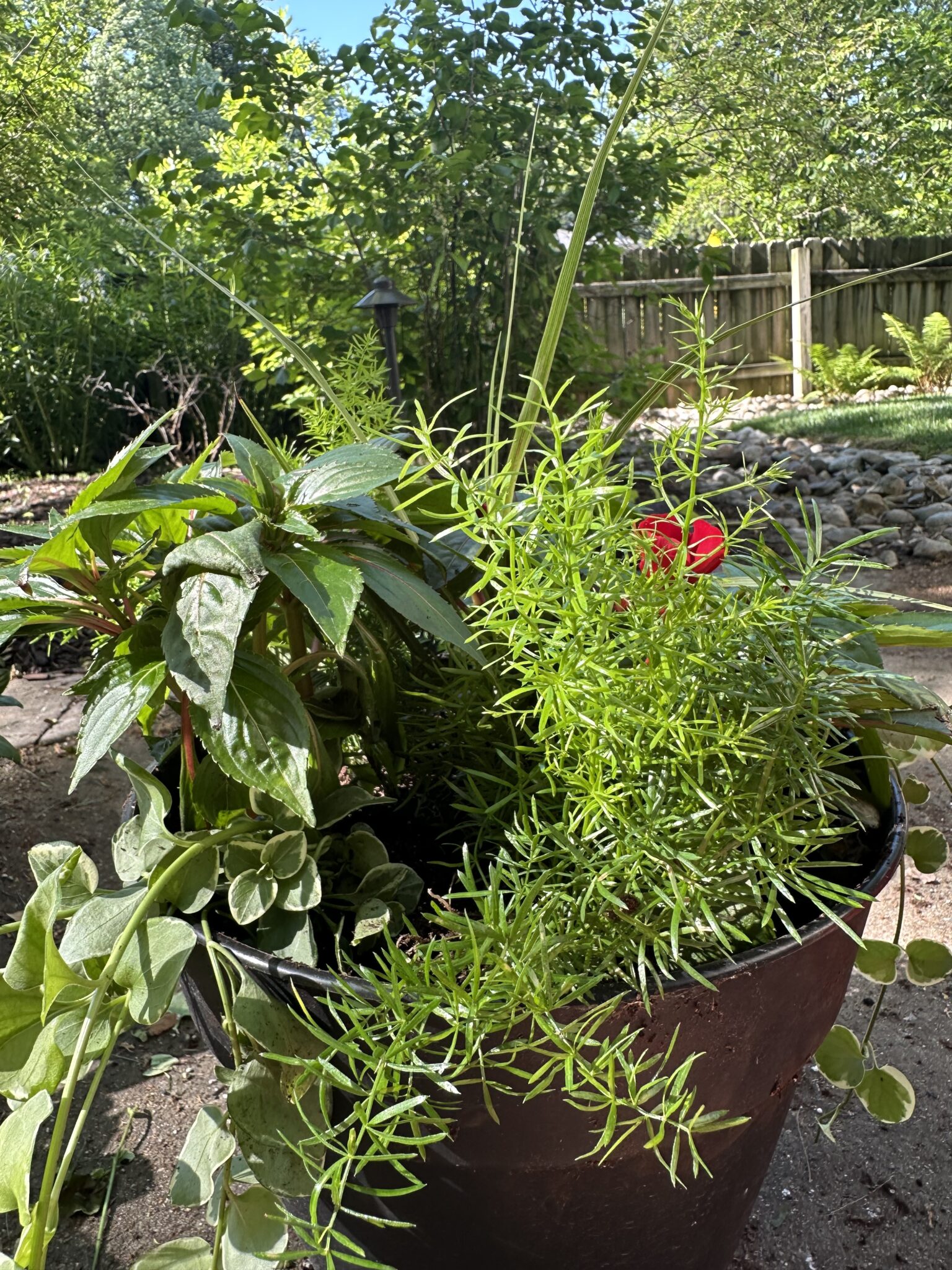 The Best Container Planter Ideas for Your Garden that You'll Love! The Best Container Planter Ideas for Your Garden that You'll Love!