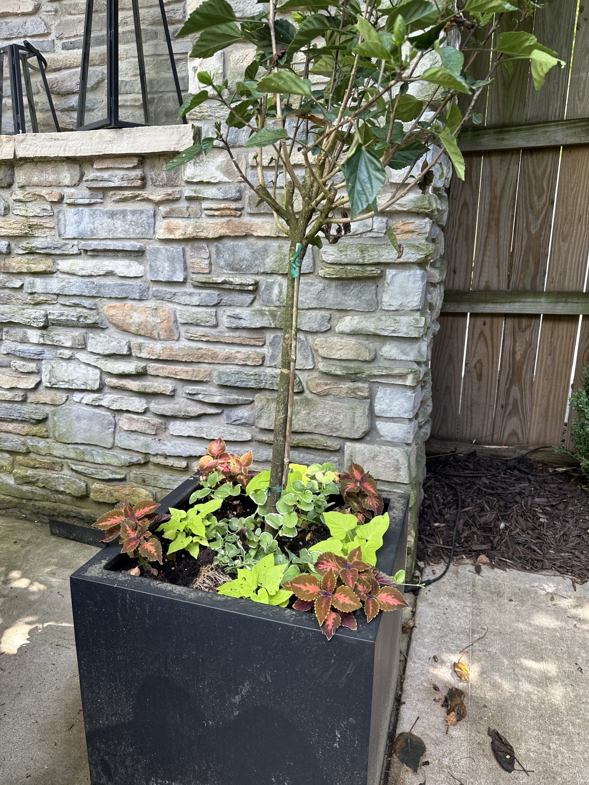 The Best Container Planter Ideas for Your Garden that You'll Love! The Best Container Planter Ideas for Your Garden that You'll Love!