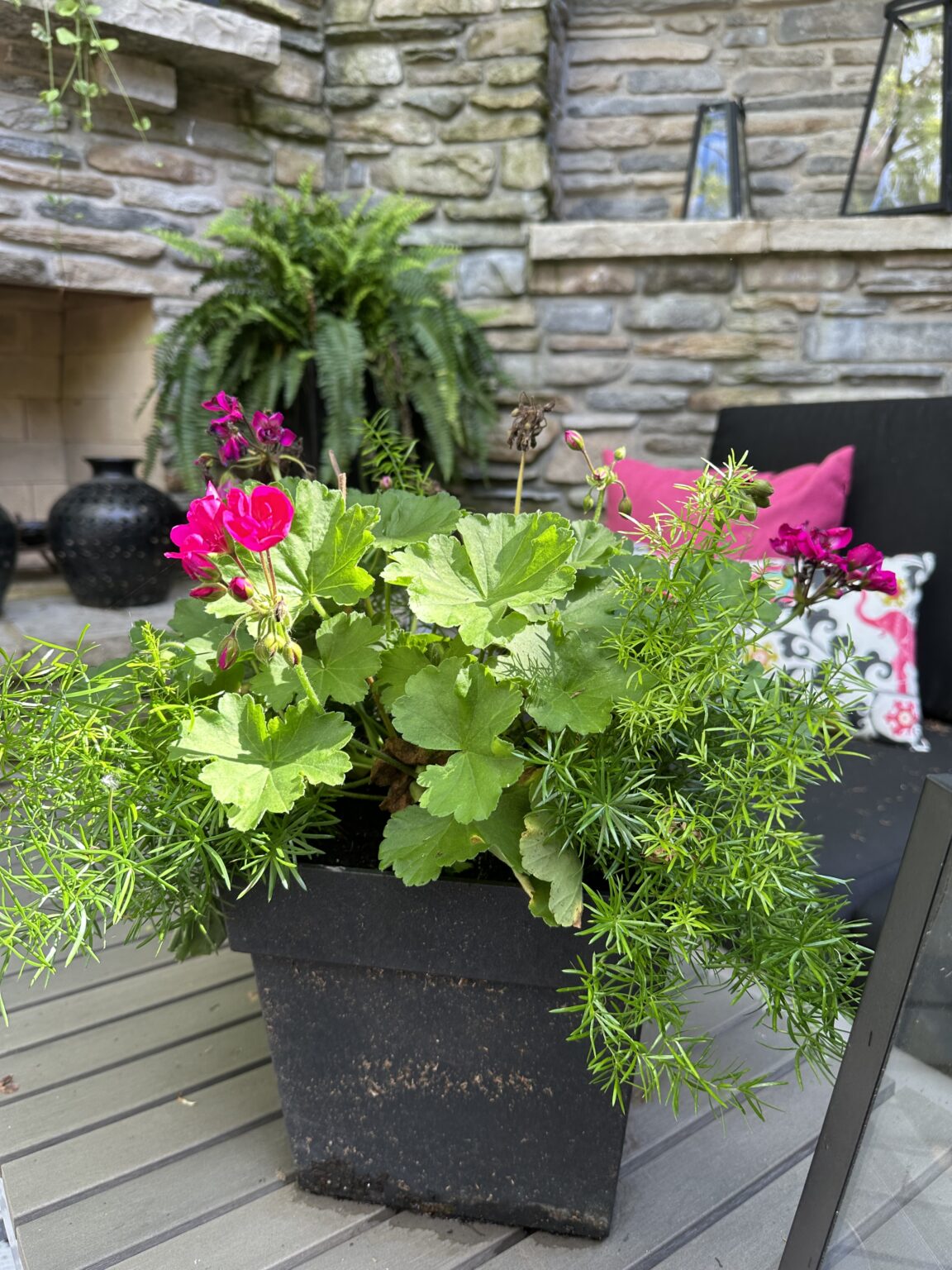 The Best Container Planter Ideas for Your Garden that You'll Love!