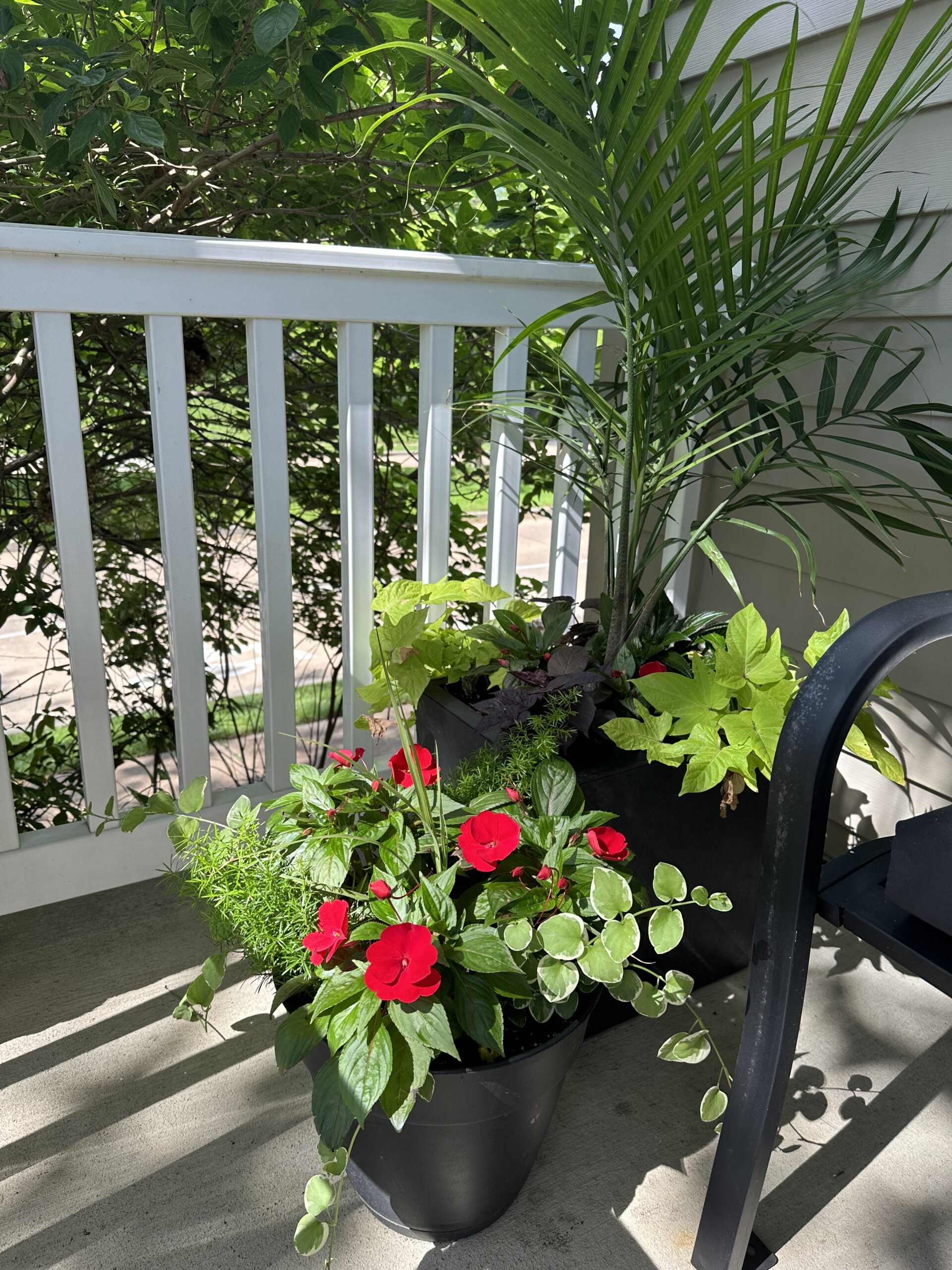The Best Container Planter Ideas for Your Garden that You'll Love! The Best Container Planter Ideas for Your Garden that You'll Love!